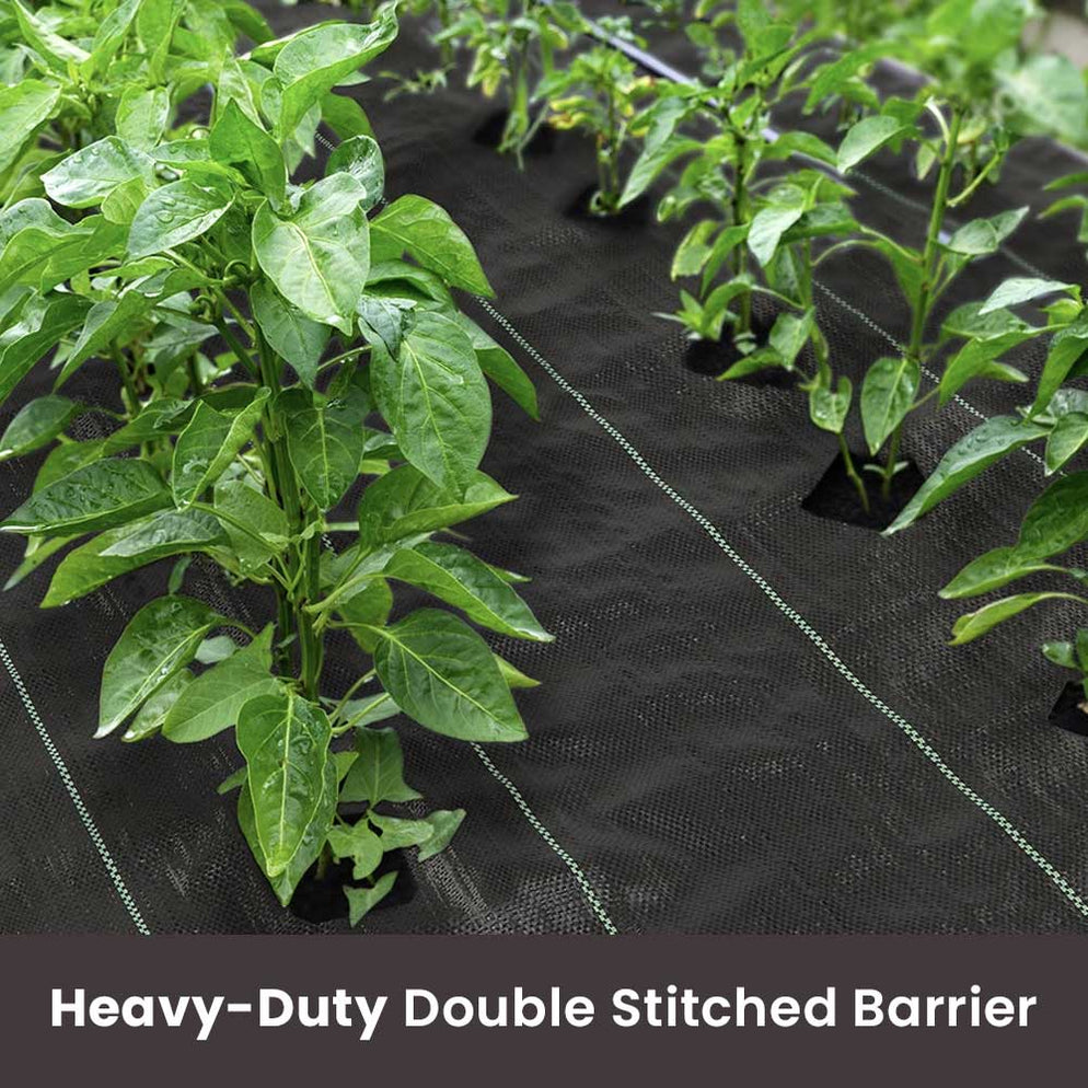 Premium Weed Control Mat | Black - 1.83m x 30m - WeedMat